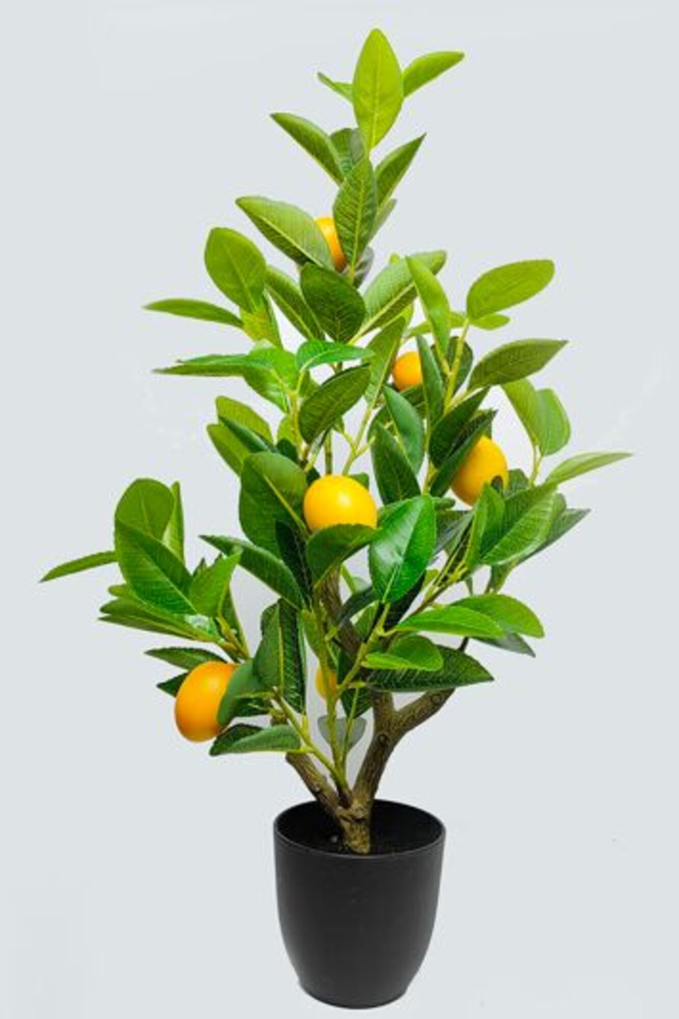 Деко Растение Lemon Tree 60cm - KARE