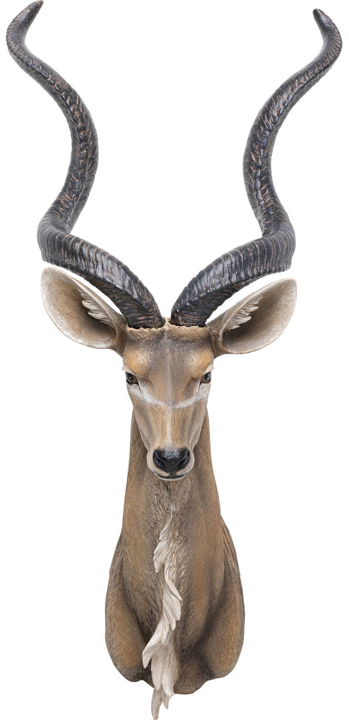 Deco pared Antelope Head - KARE España