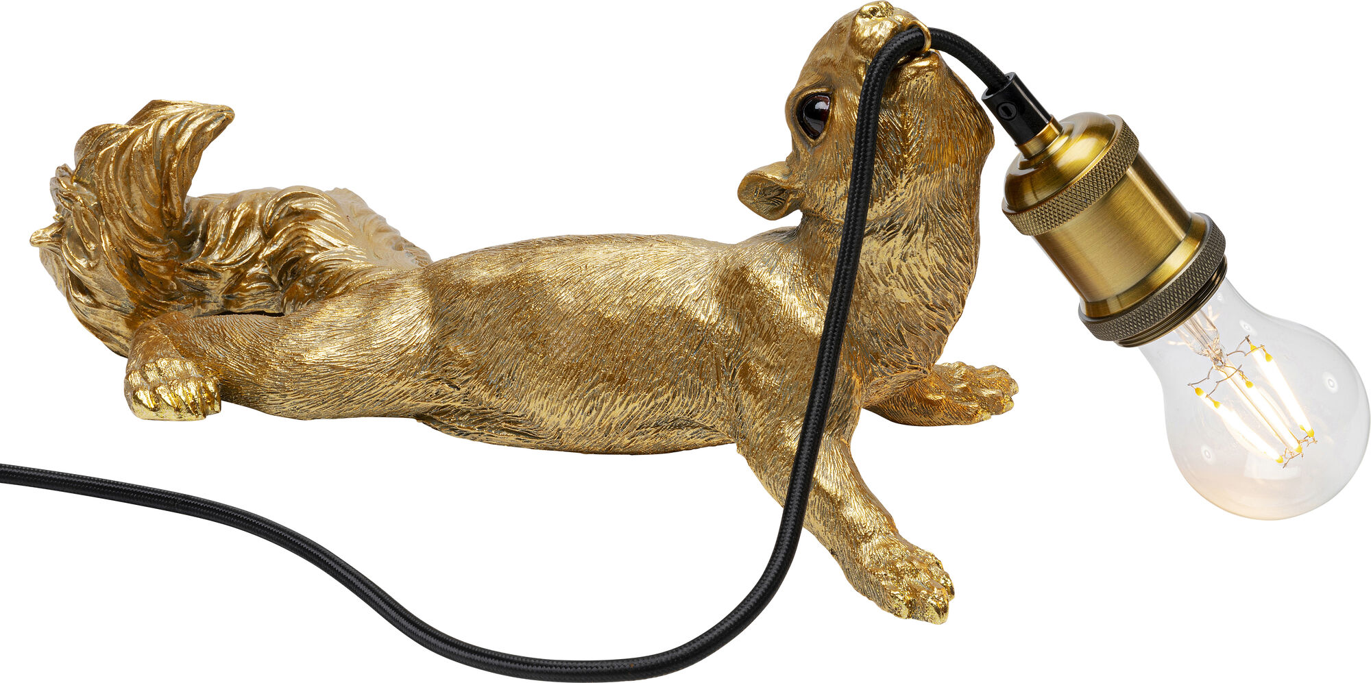 Vegglampe Animal Squirrel Gull 17x38cm - KARE