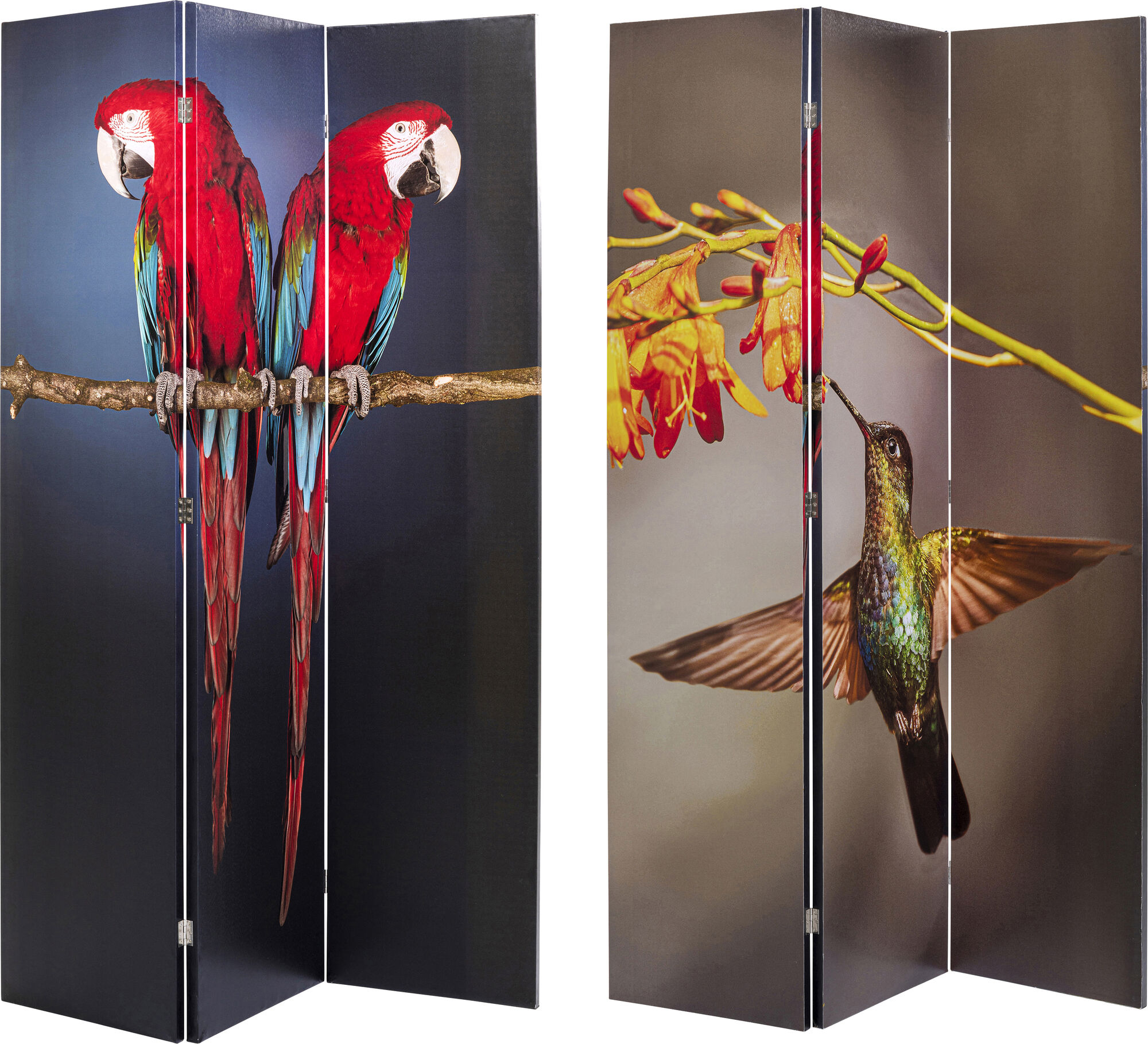 Biombo Twin Parrot vs Cute Colibri 120x180cm - KARE España