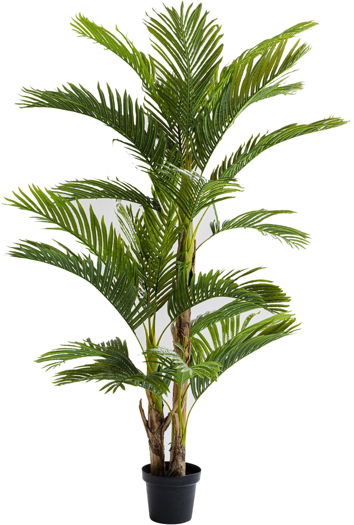 Planta deco Palm Tree 190cm - KARE