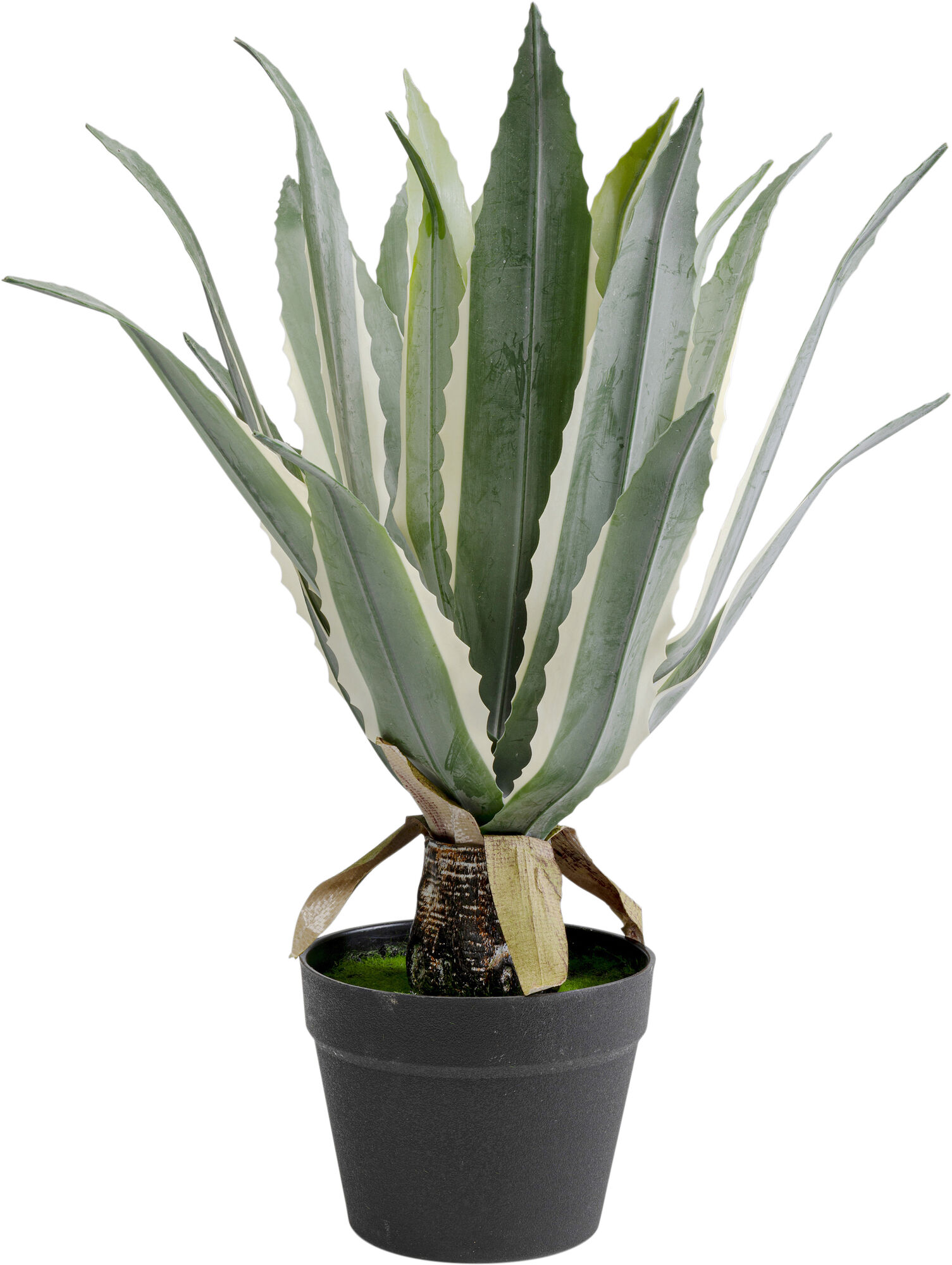 Dirbtinis augalas Agave 50cm - KARE