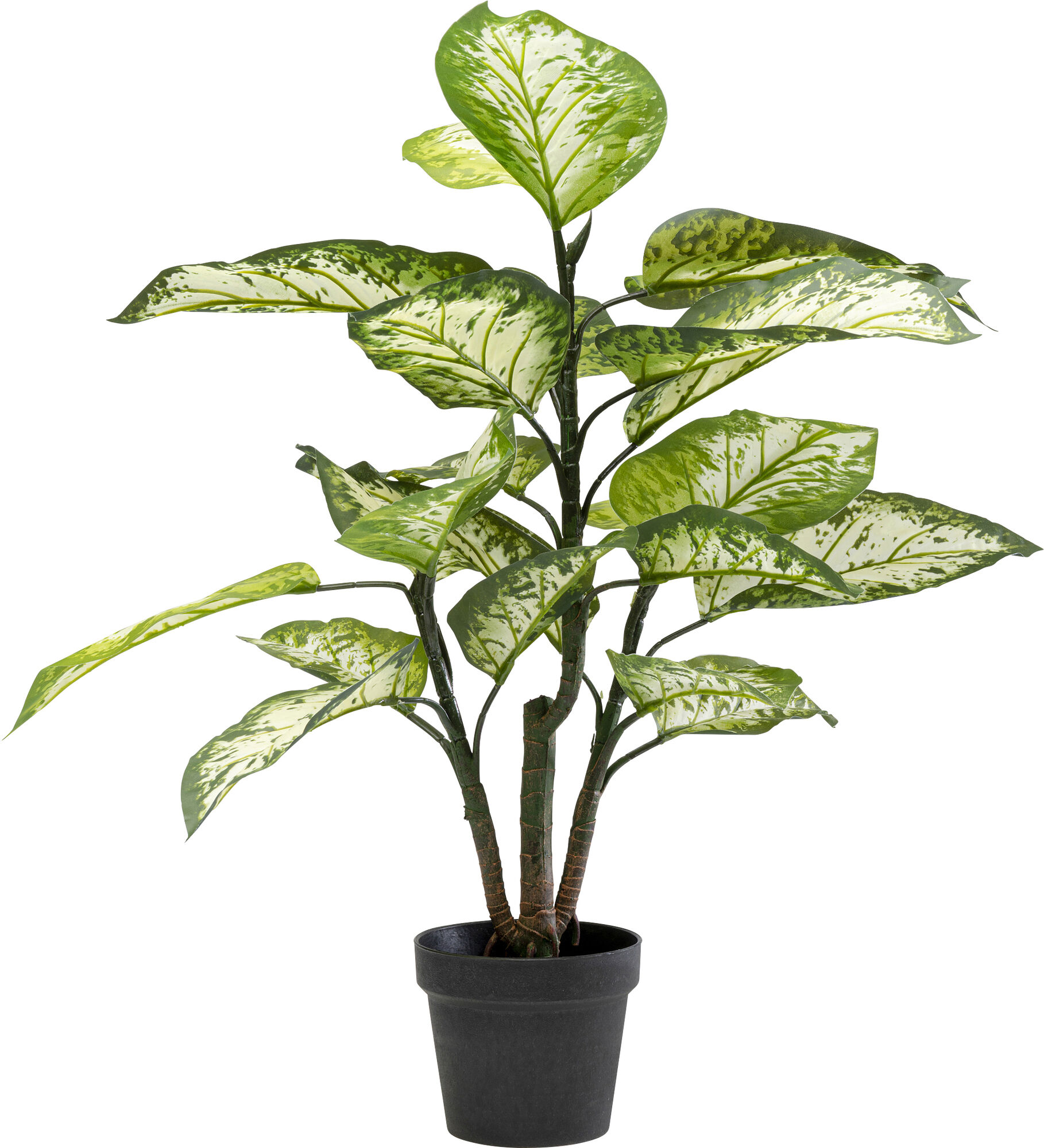 Planta Deco Dieffenbachie 100cm - KARE