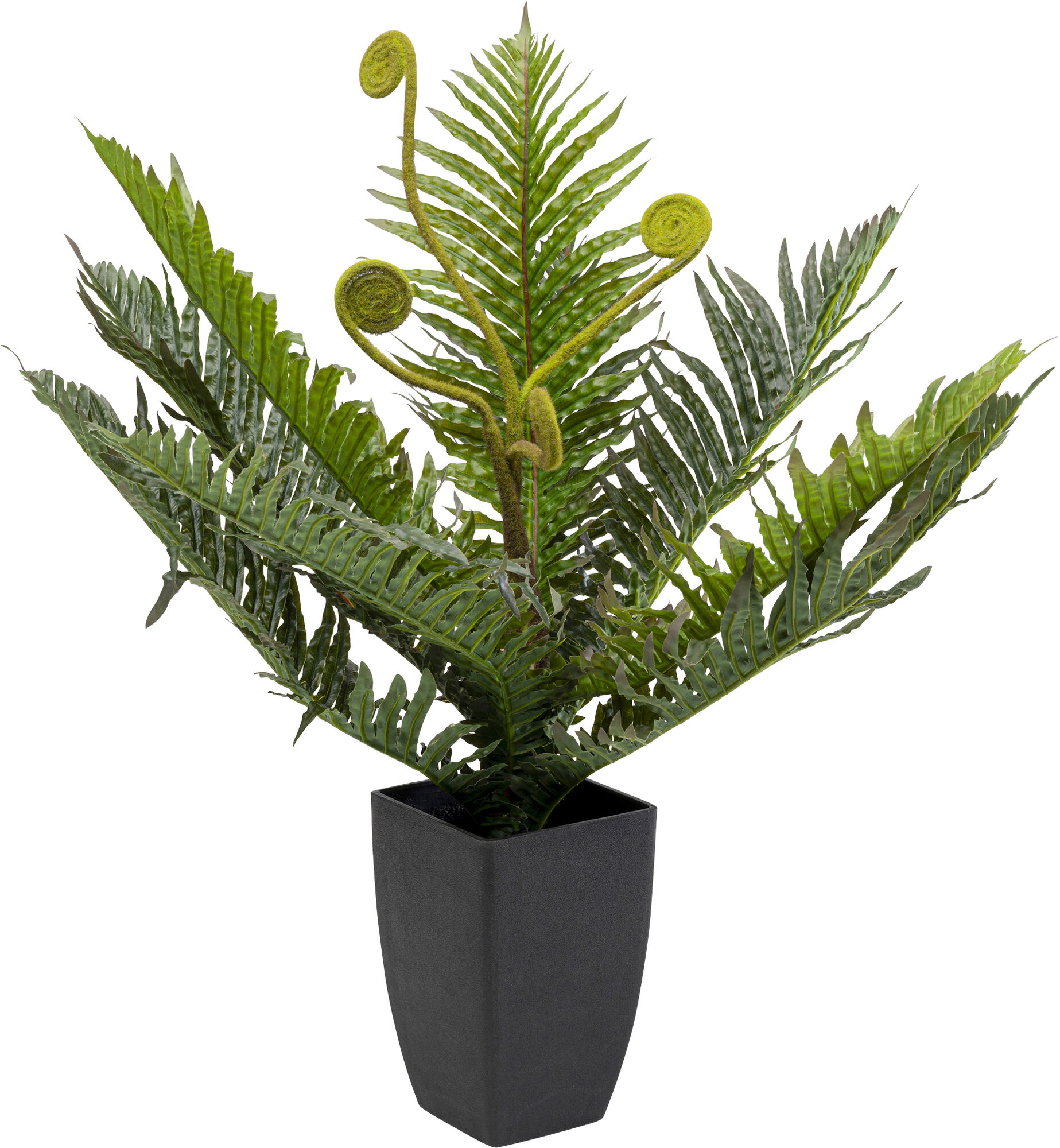 Planta Deco Farn 55cm - KARE